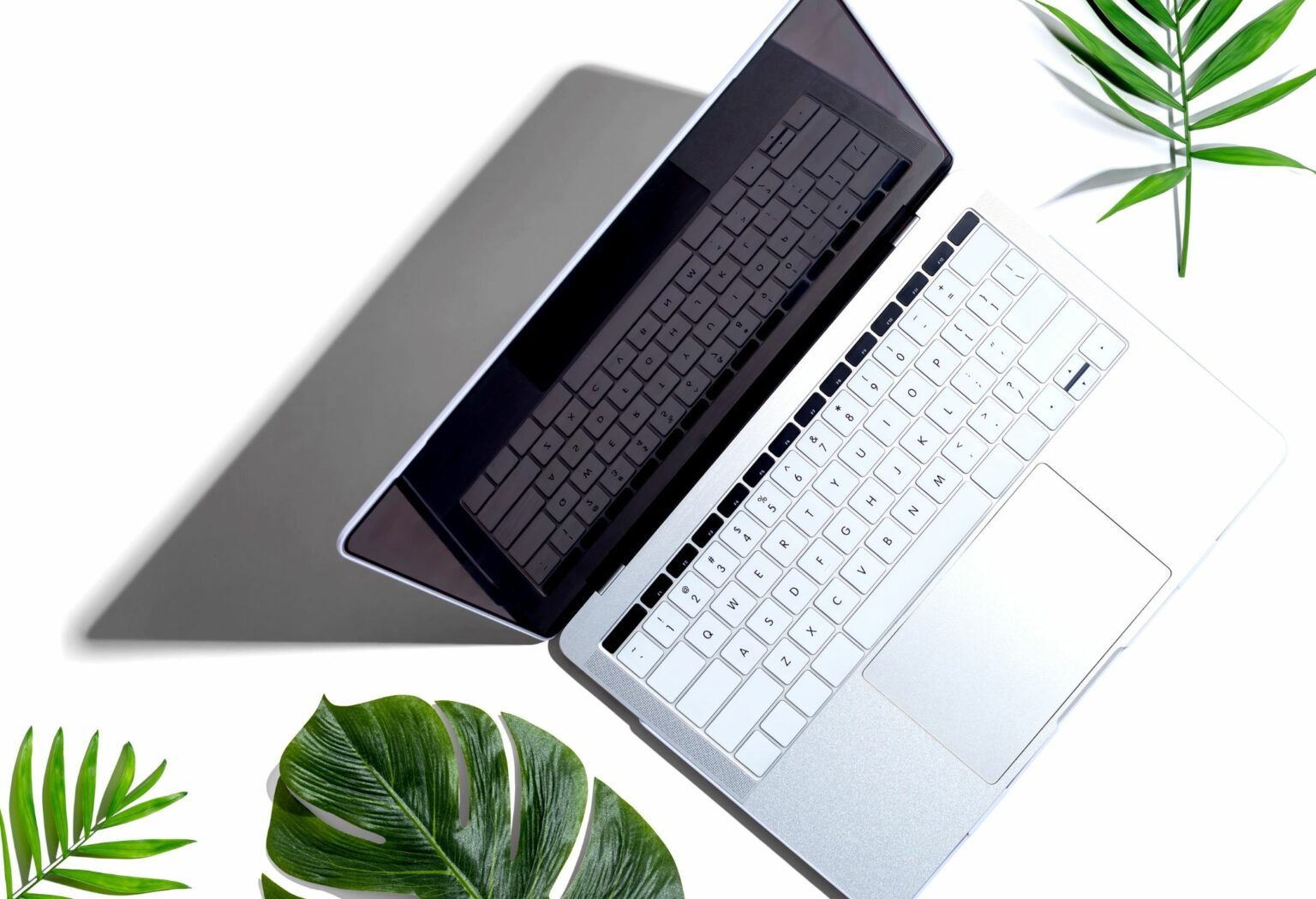 Cosmetic Dermatologist | Beverly Hills | Santa Monica | Ava MD